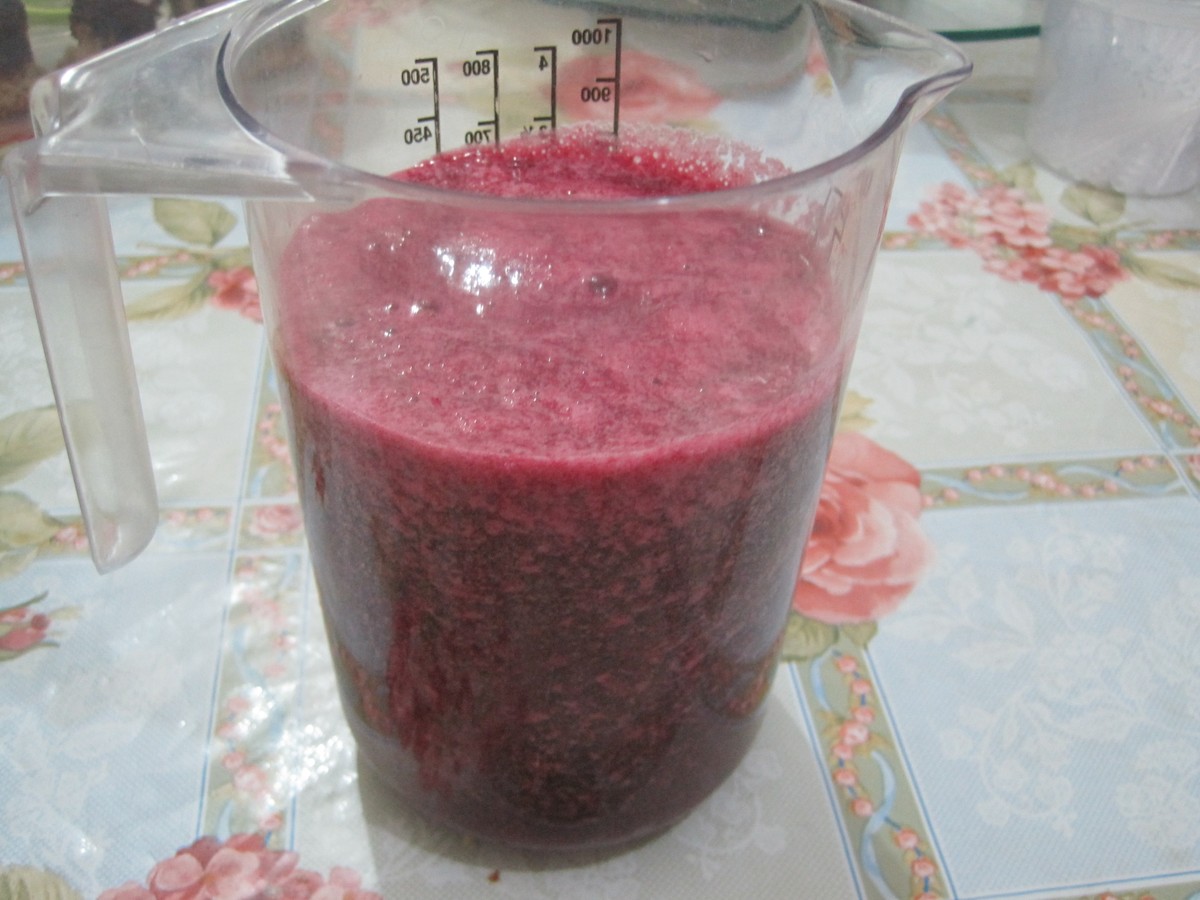 SUCO CONCENTRADO DE UVA COM AÇÚCAR FIT | Drinks e Bebidas | Receitas