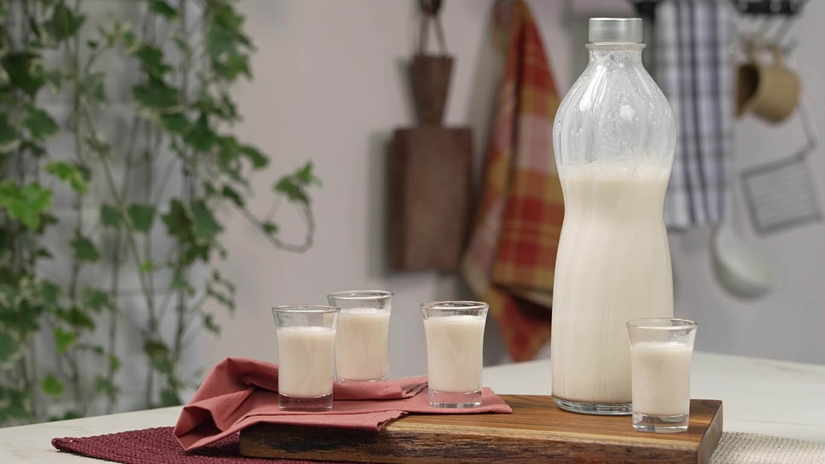 Leite fermentado caseiro | Drinks e Bebidas | Receitas