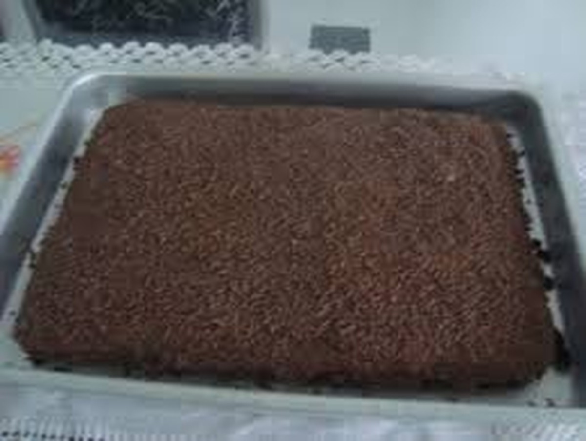 Bolo de Chocolate Tradicional | Bolos | Receitas