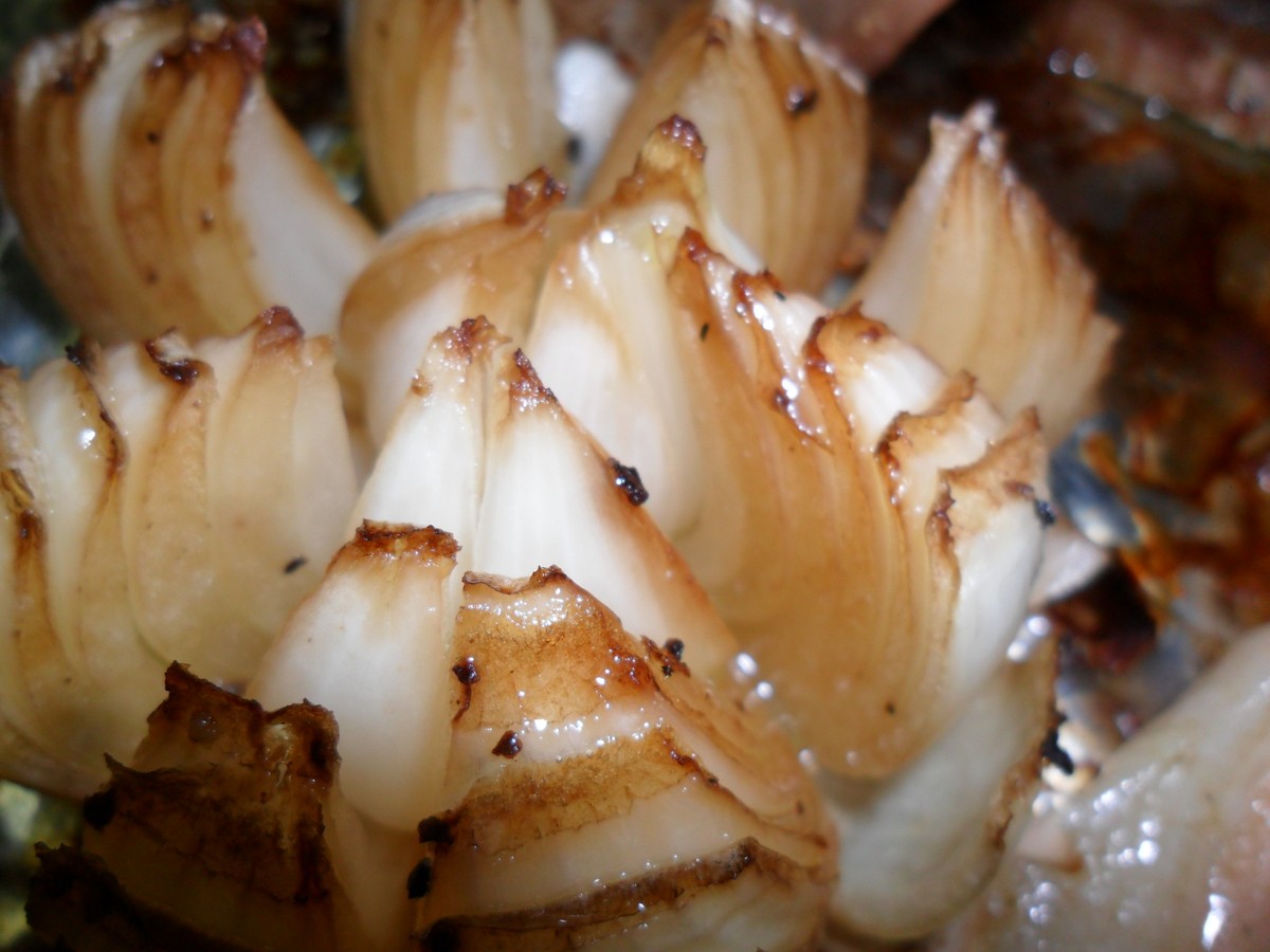 CEBOLA ASSADA | Acompanhamentos | Receitas