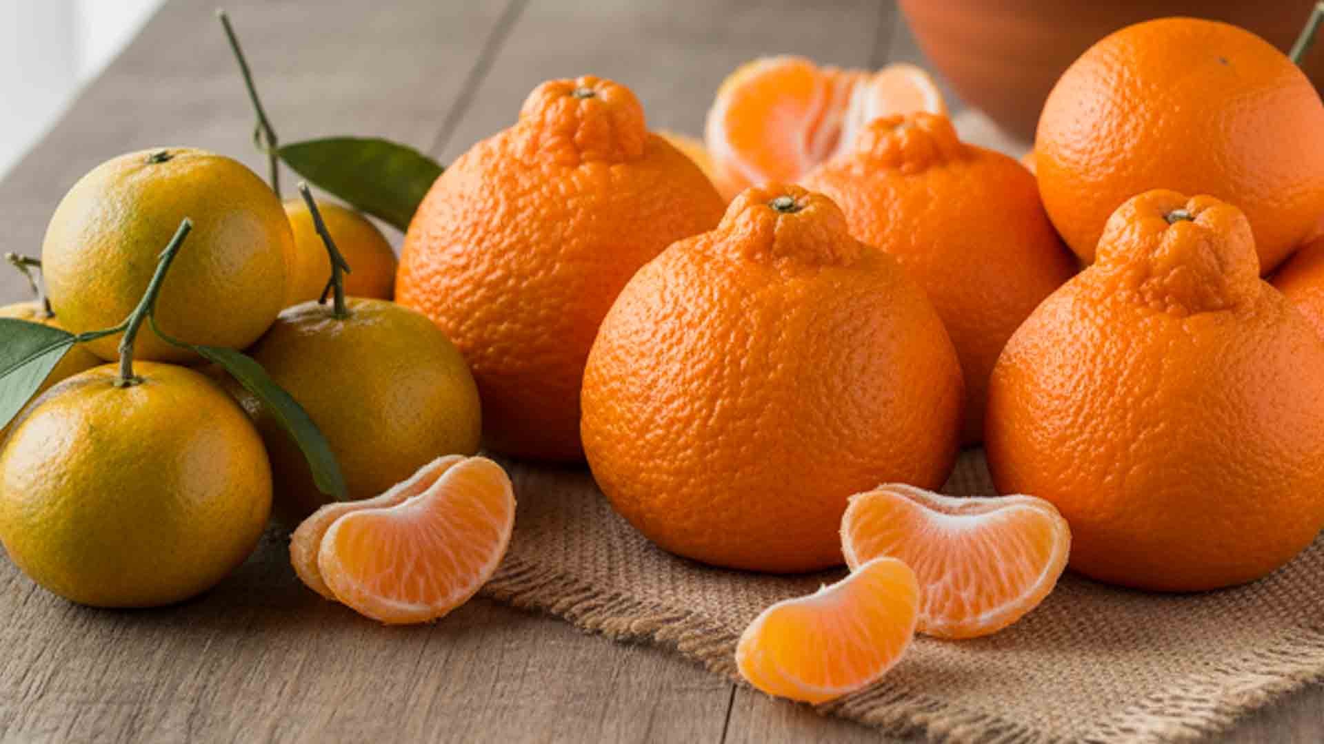 Mexerica, ponkan, tangerina: descubra a verdadeira diferença entre as ...