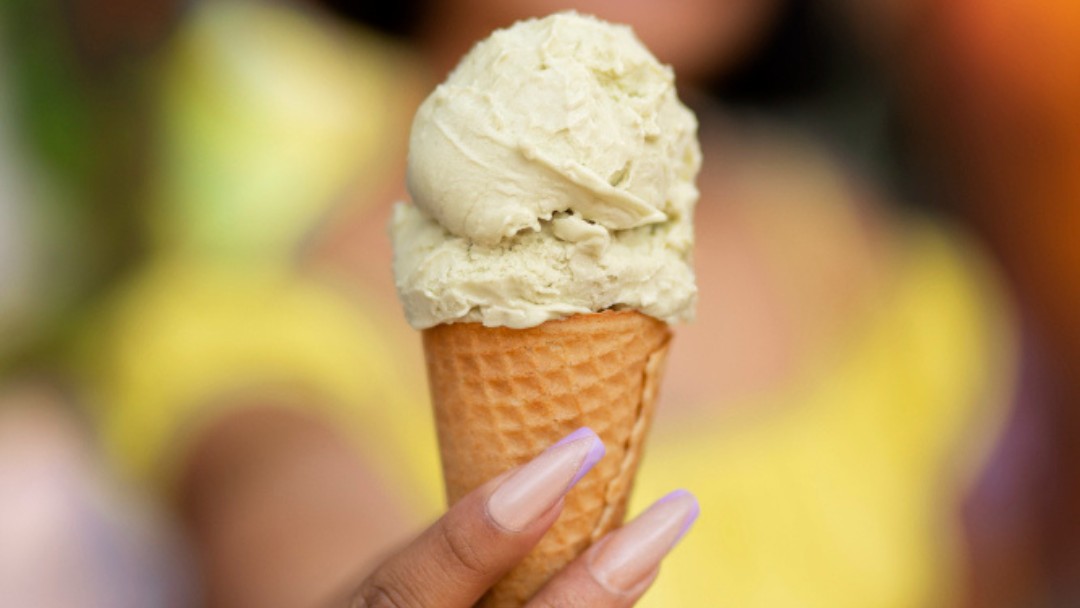 PLUG: Acompanhe o Programa da RPC | Receitas