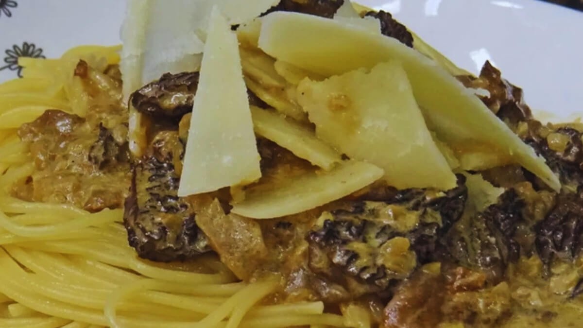 Espaguete com funghi Morilles | Salgados | Receitas