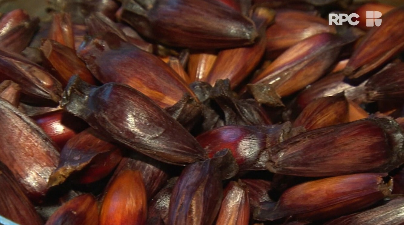 Como cozinhar pinhão | Receitas