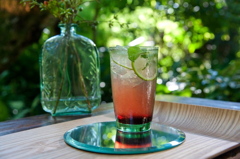 Aprenda a fazer um mojito de cranberry | Receitas