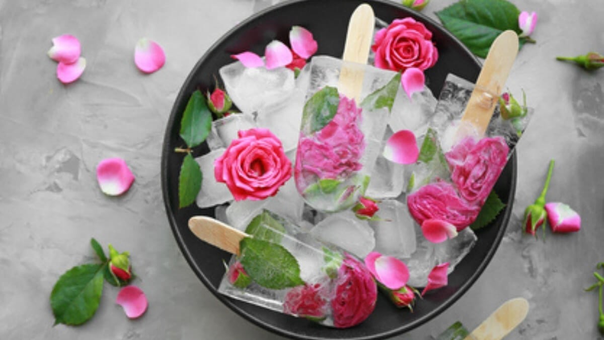 Picolé com flores | Receitas