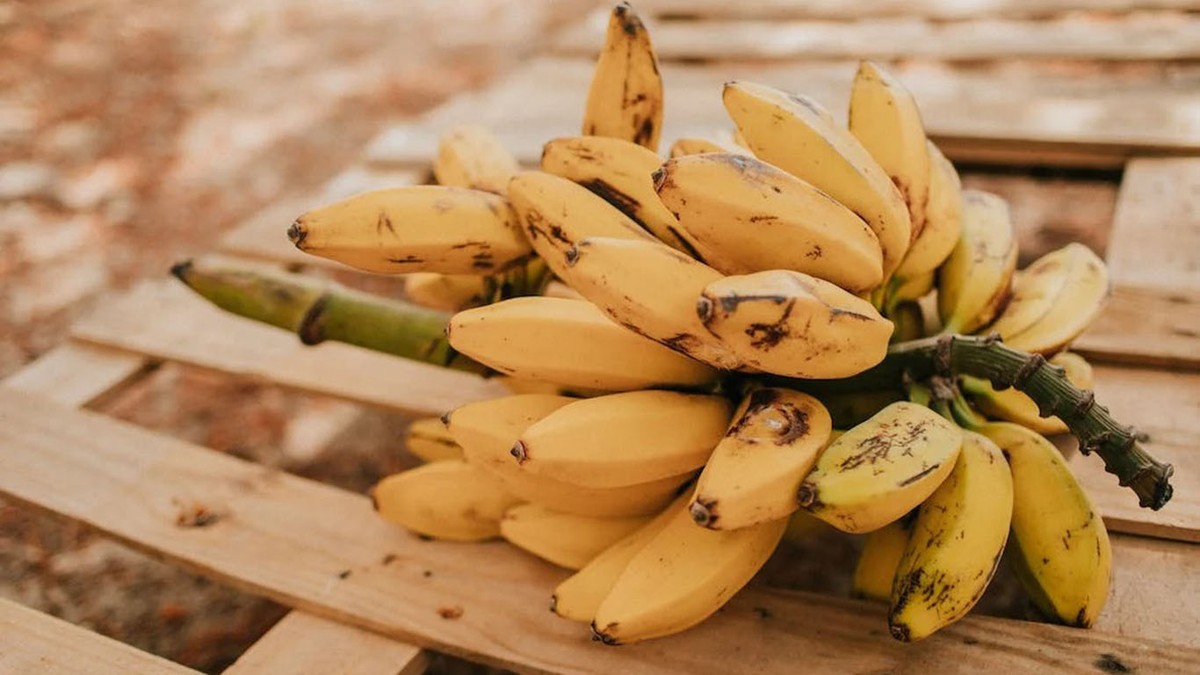 Fruta feia x fruta estragada: saiba diferença e como consumir ...