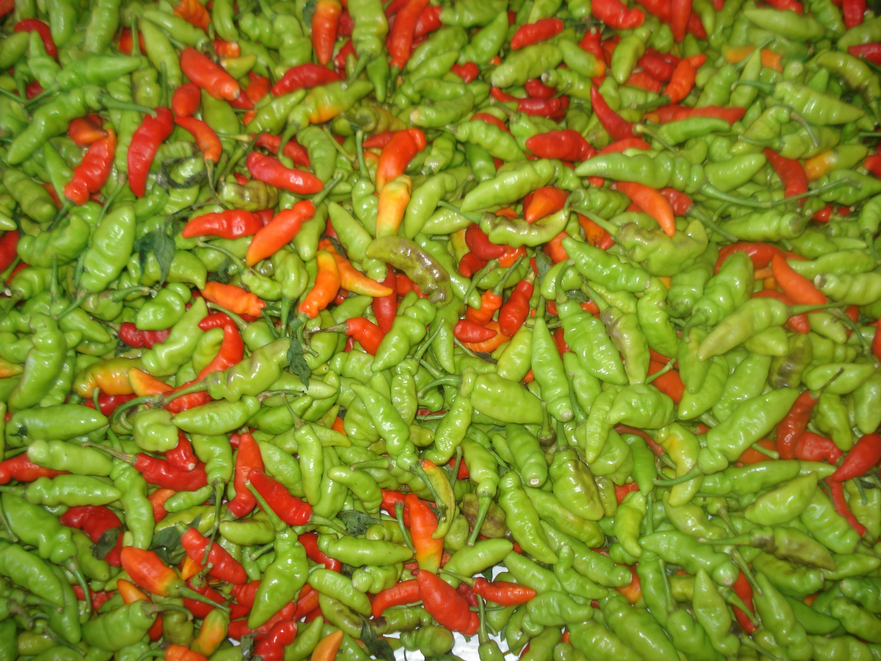 Doce de Pimenta em Calda | Receitas