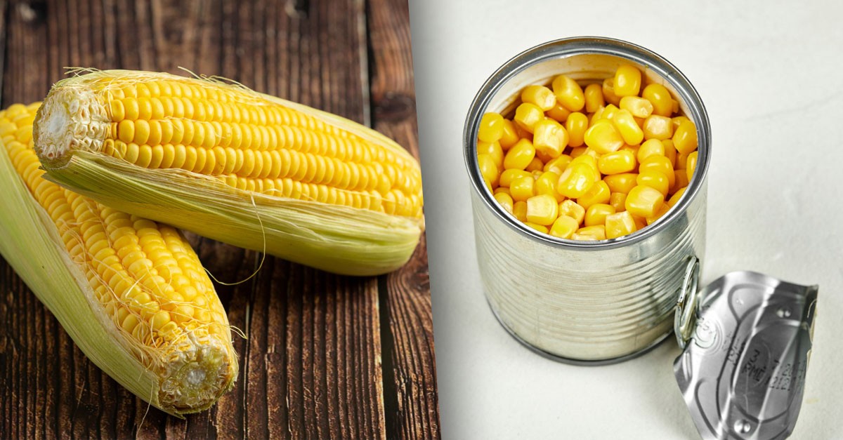 Milho de lata ou na espiga: qual é a opção mais saudável? | Receitas