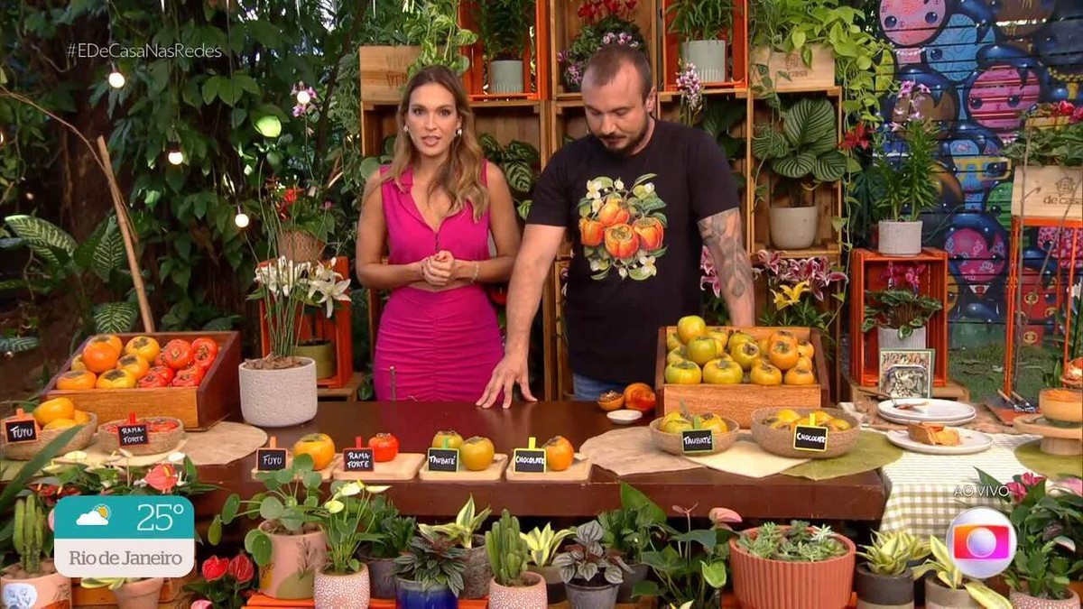 Caqui: conheça tipos mais comuns no Brasil e veja como descobrir se ...