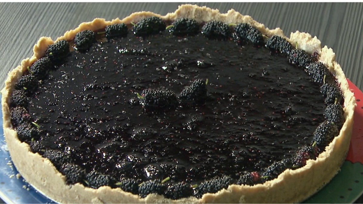 Receita fácil de torta de amora | Plug | Receitas