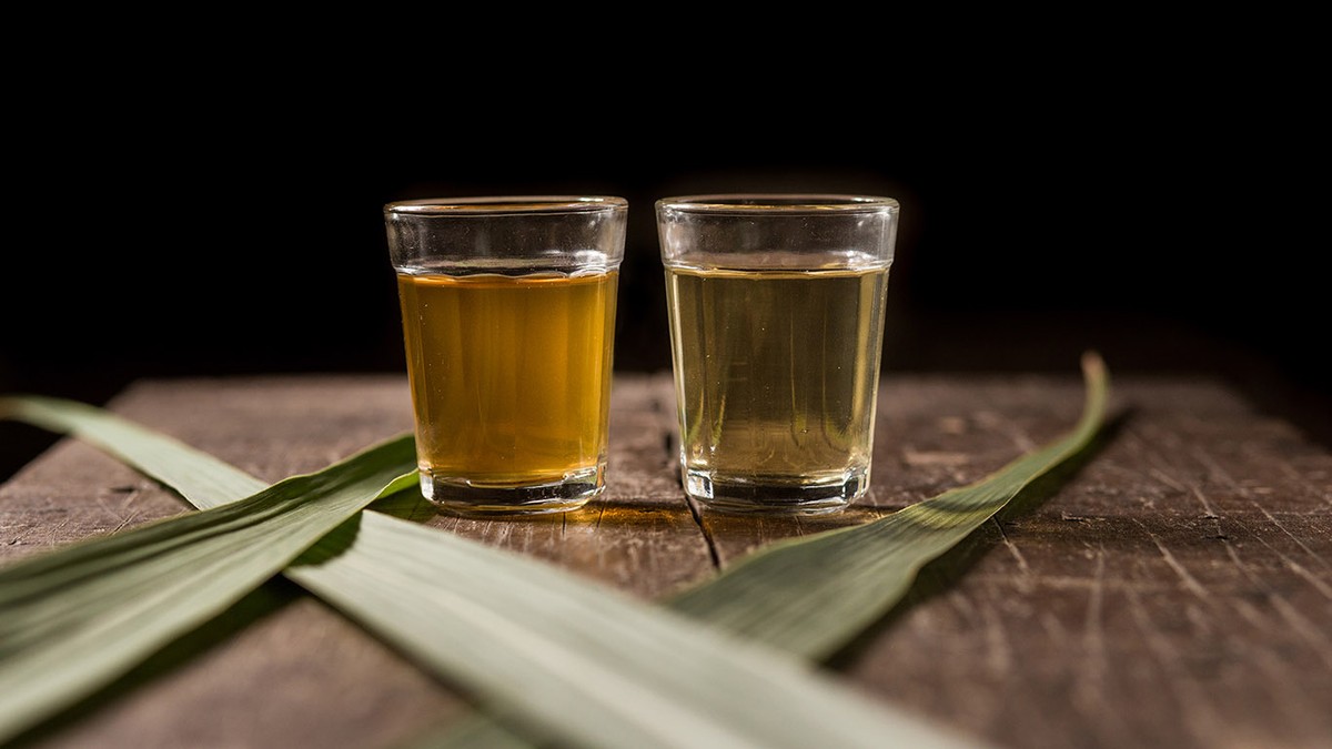 Cachaça é o mesmo que aguardente? Como saber se a cachaça é boa? Saiba ...