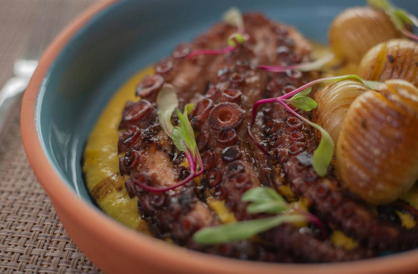 12 dicas de como fazer polvo para não errar | Receitas