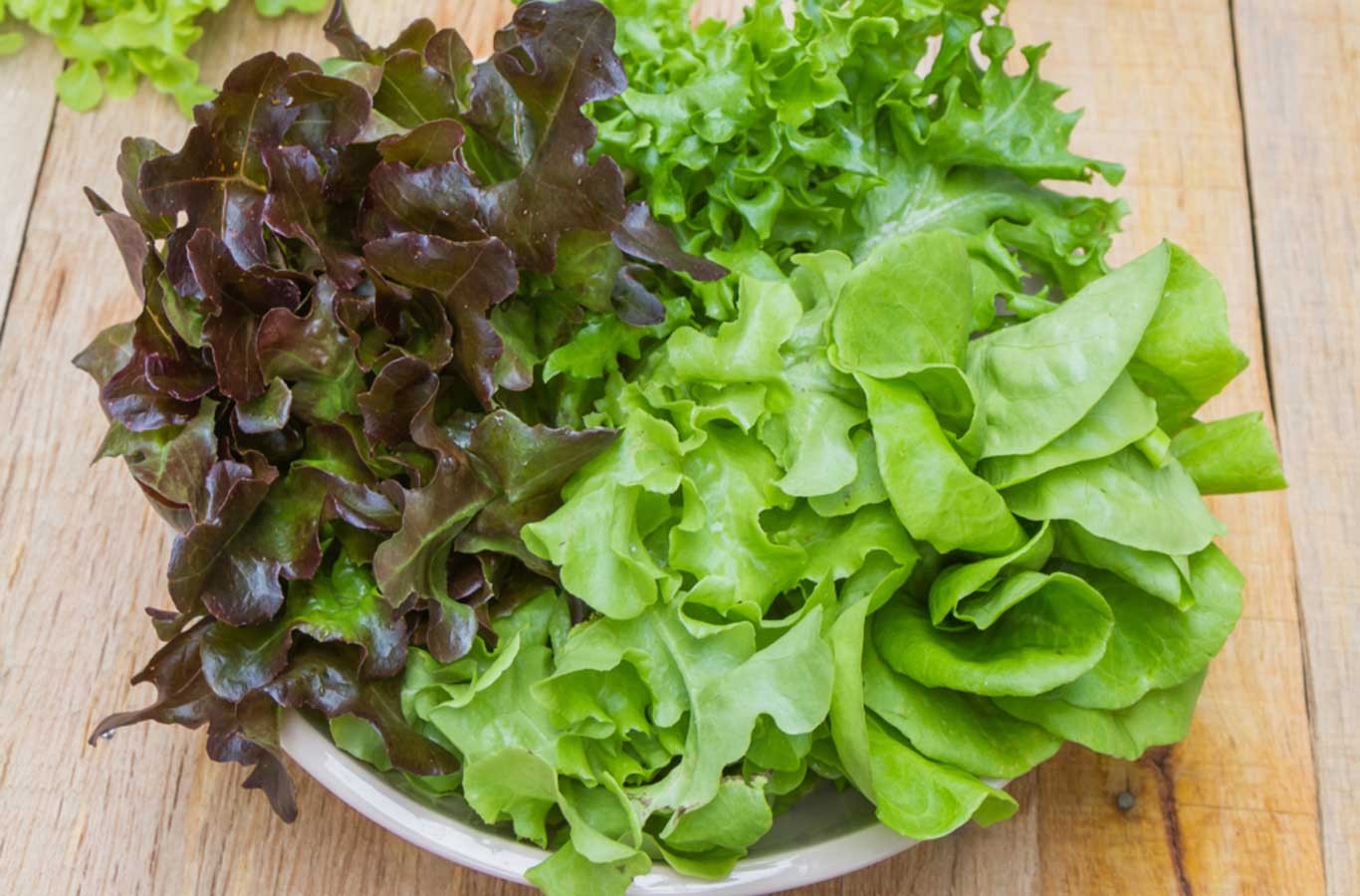 Benefícios da alface para a saúde: nutricionista explica consumo | Receitas
